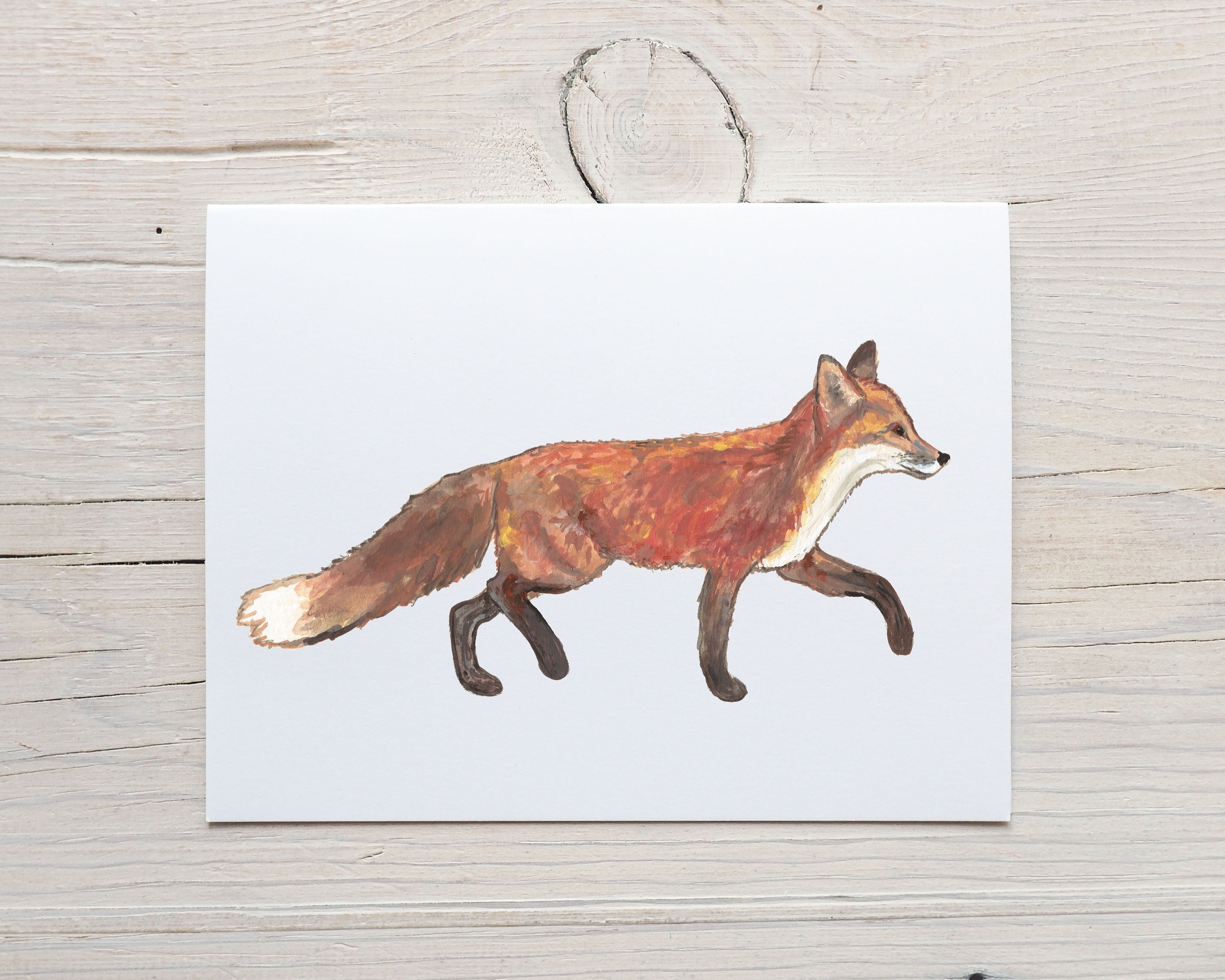 Fox Note Cards Foxes Set of Folded Cards 6 8 or 12 Fox - Etsy UK