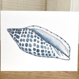 Seashell Notecards, Beach Stationery, Blue and White, Sand Dollar ...