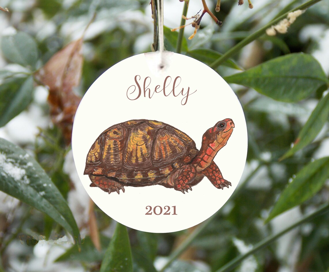 Box Turtle Ornament Personalized Box Turtle Ornament - Etsy