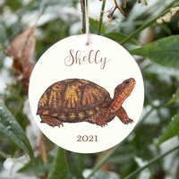 Box Turtle - Etsy