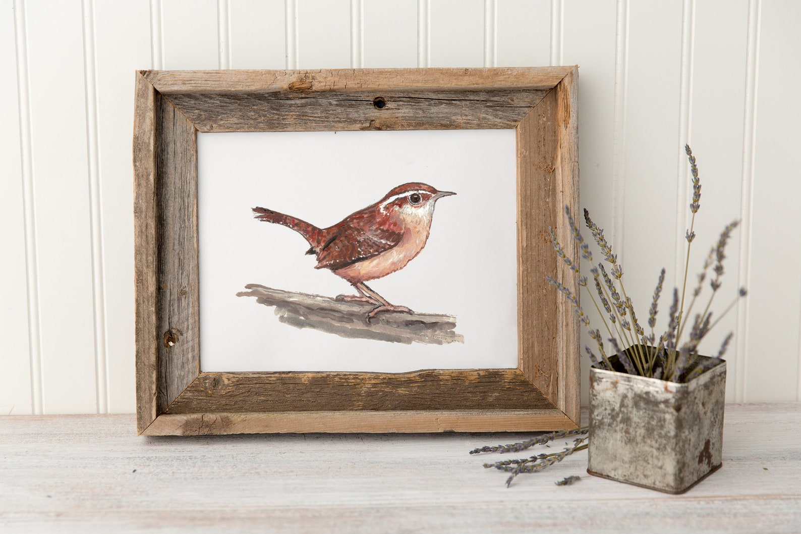 Wren print Carolina wren bird prints bird art print | Etsy