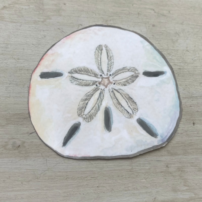 Sand Dollar Tag - Etsy