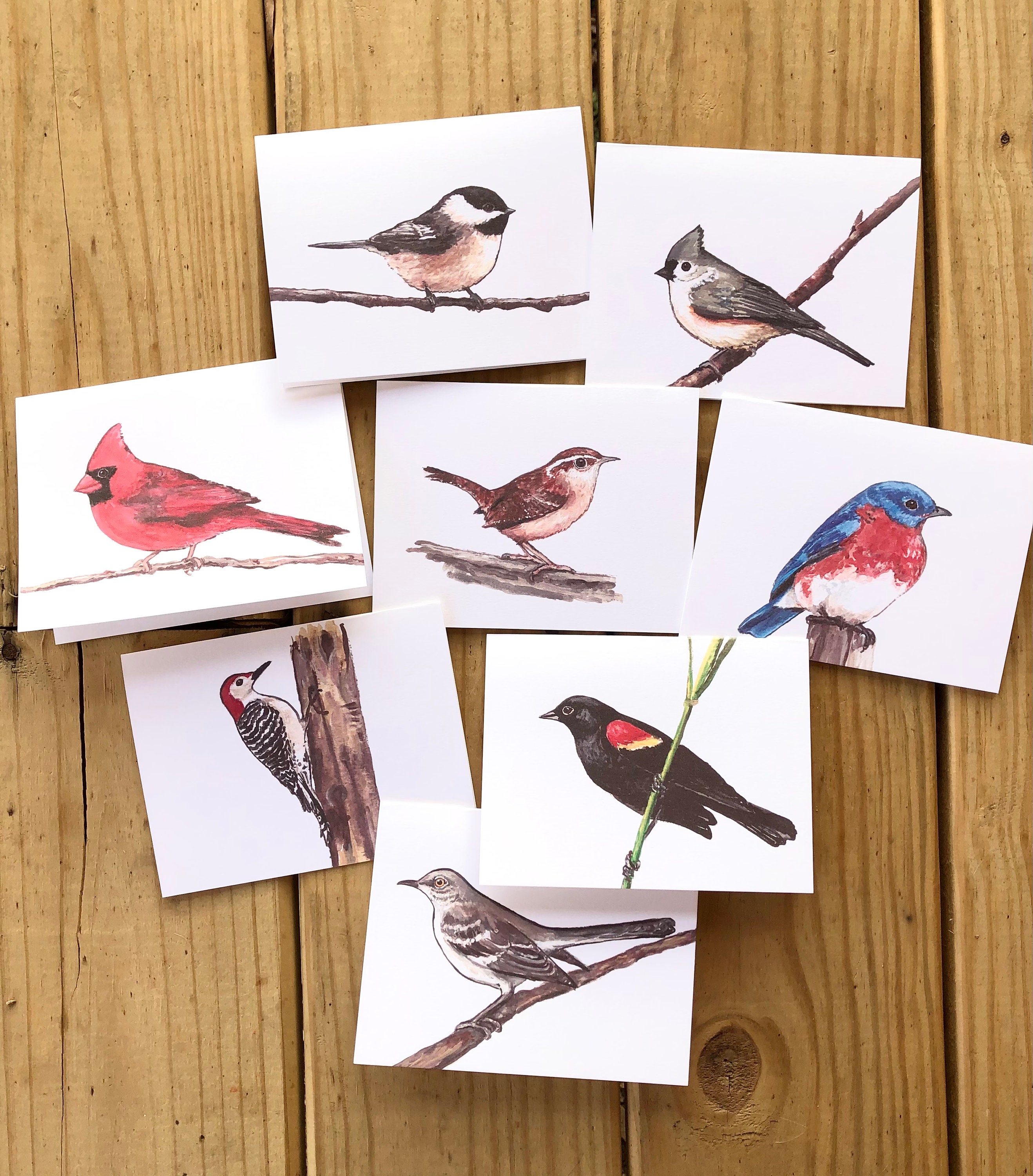 Bird notecards bird stationery set of 8 cards cardinal | Etsy