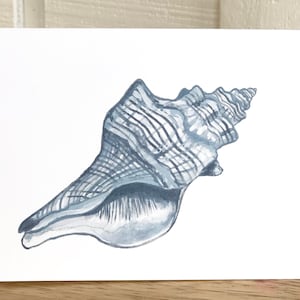 Seashell Notecards, Beach Stationery, Blue and White, Sand Dollar ...