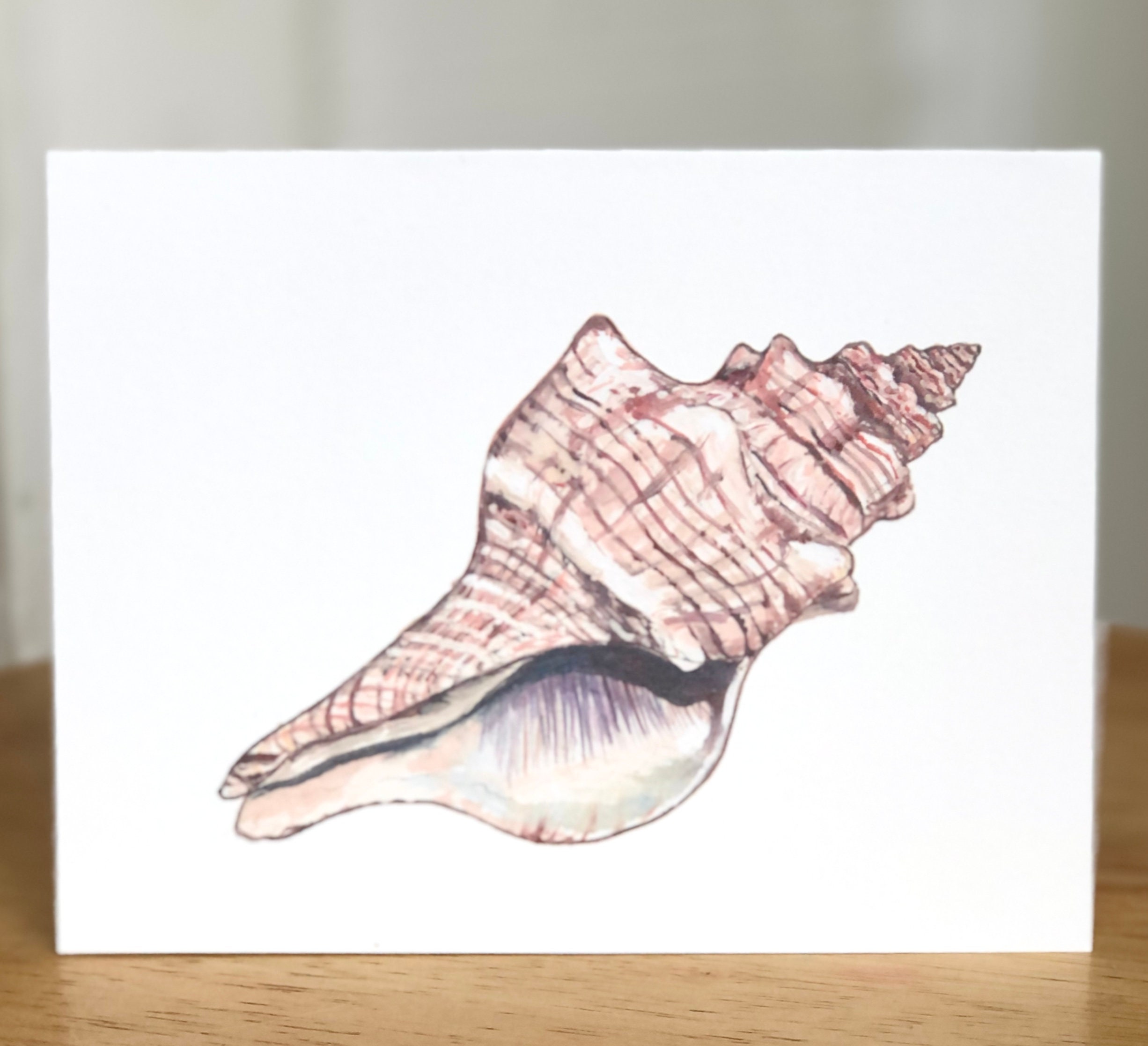 Beach notecards seashell notecards seashell stationery with | Etsy