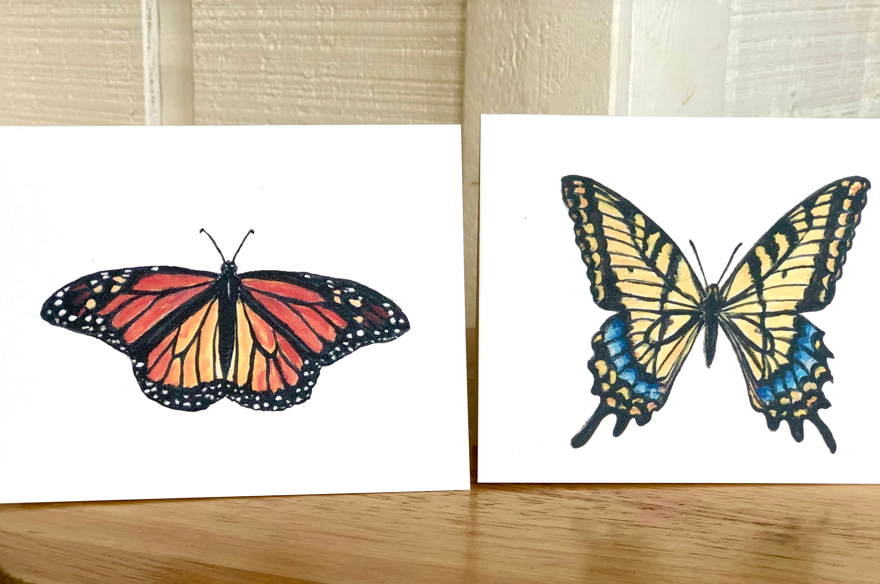 Butterfly notecards butterfly stationery blank inside with | Etsy