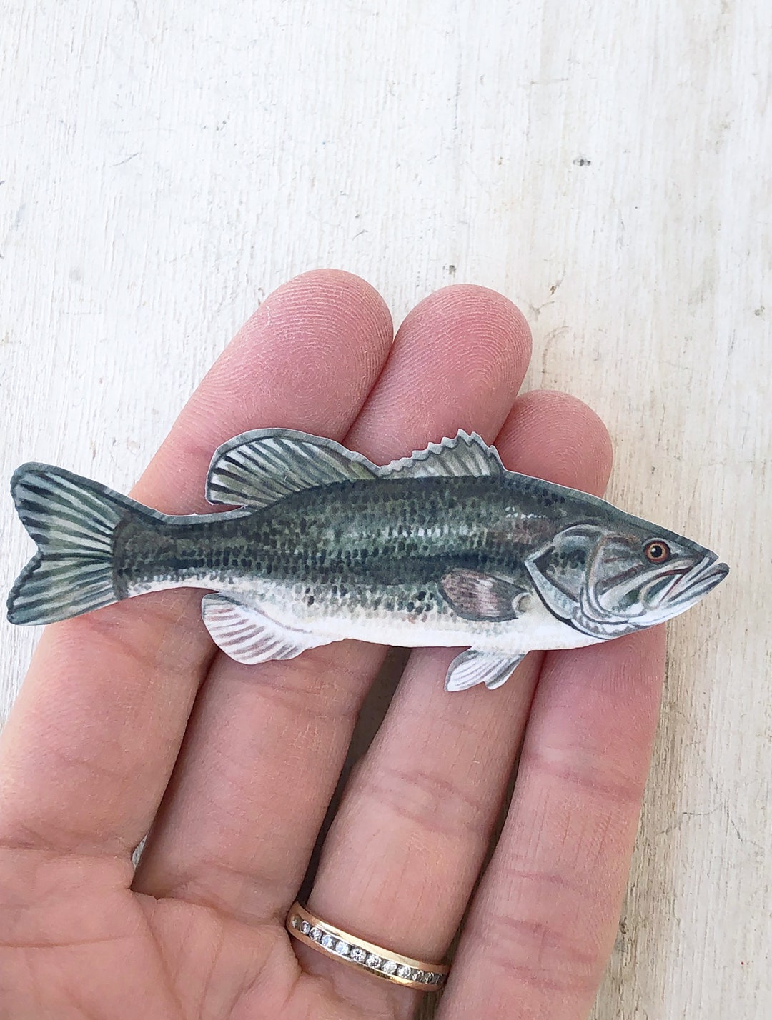 Largemouth Bass Sticker, Water Resistant, Lake Decal, Fisherman Gift ...