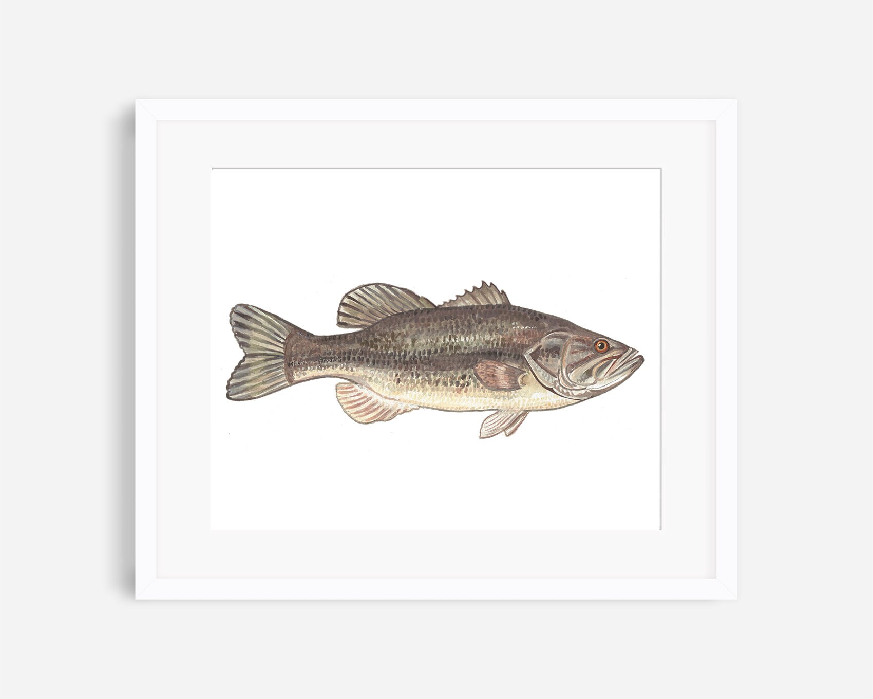 Bass Print Bass Painting Fish Wall Art Lake Life Wall - Etsy