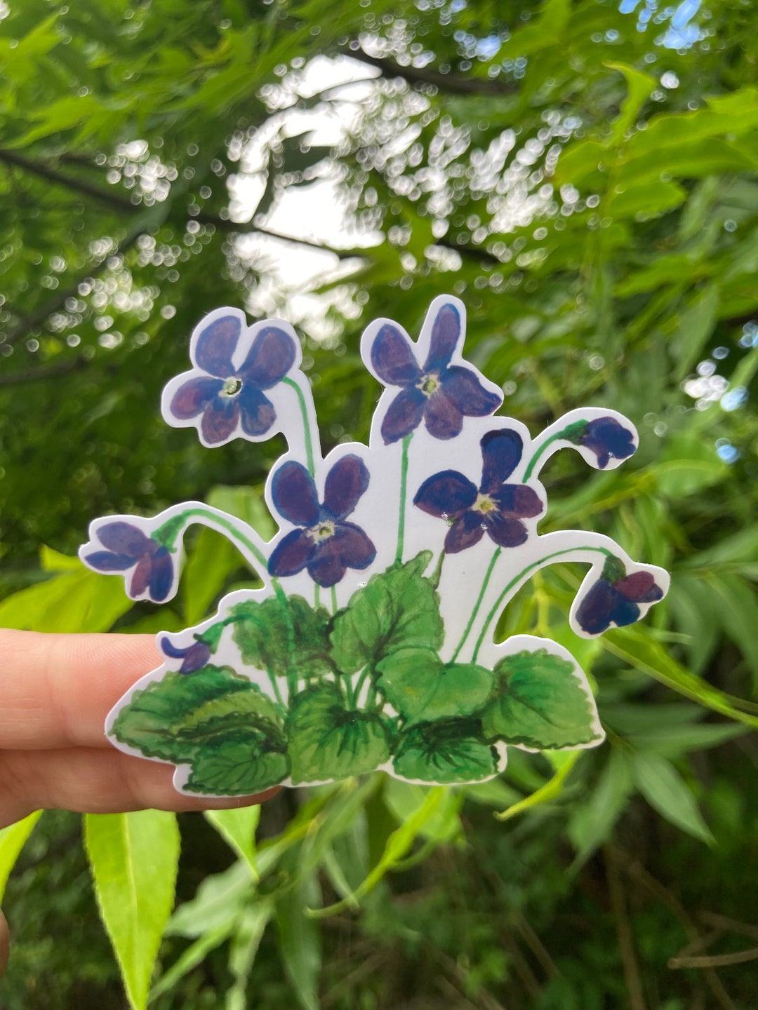 Violet Sticker, Water Resistant, Vinyl Sticker, February Birth Flower ...