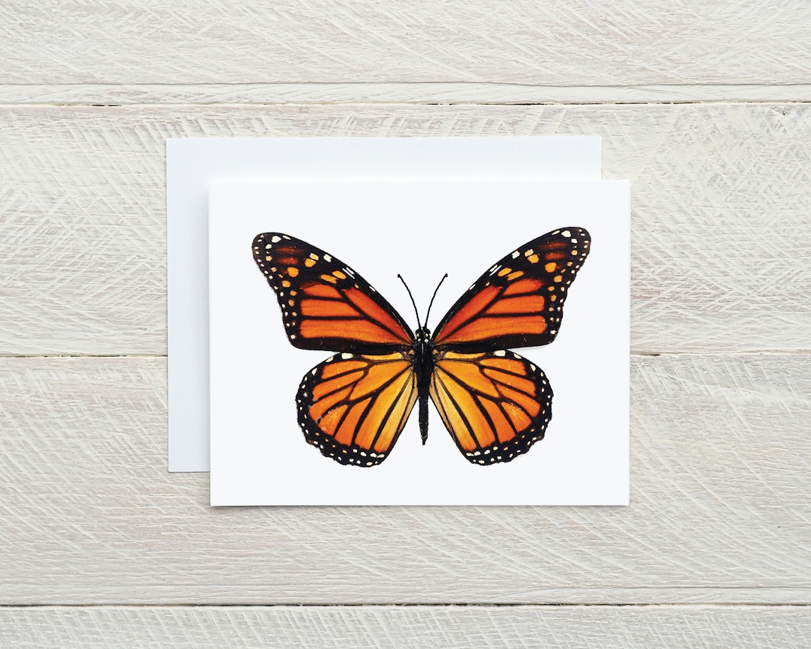 Monarch Butterfly Notecards Monarch Stationery Set of 8 - Etsy
