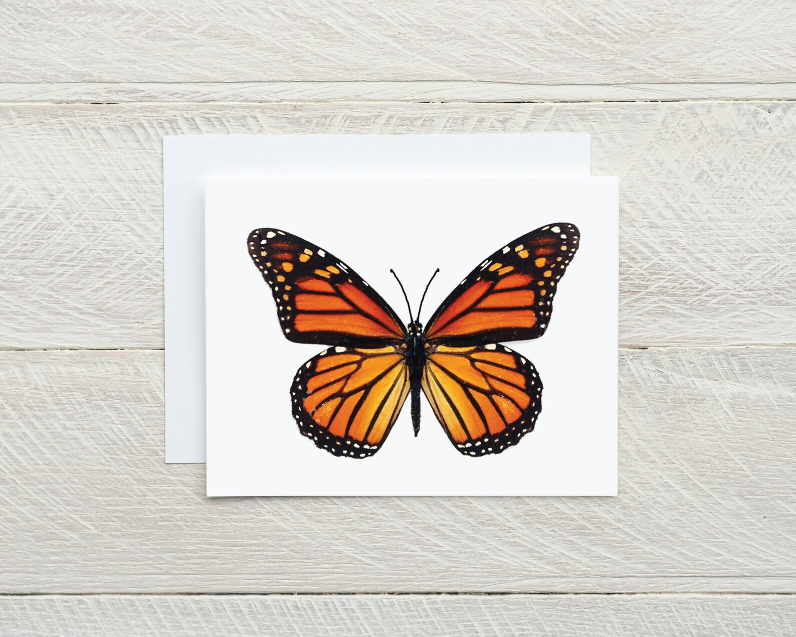 Monarch Butterfly Notecards Monarch Stationery Set of 8 - Etsy