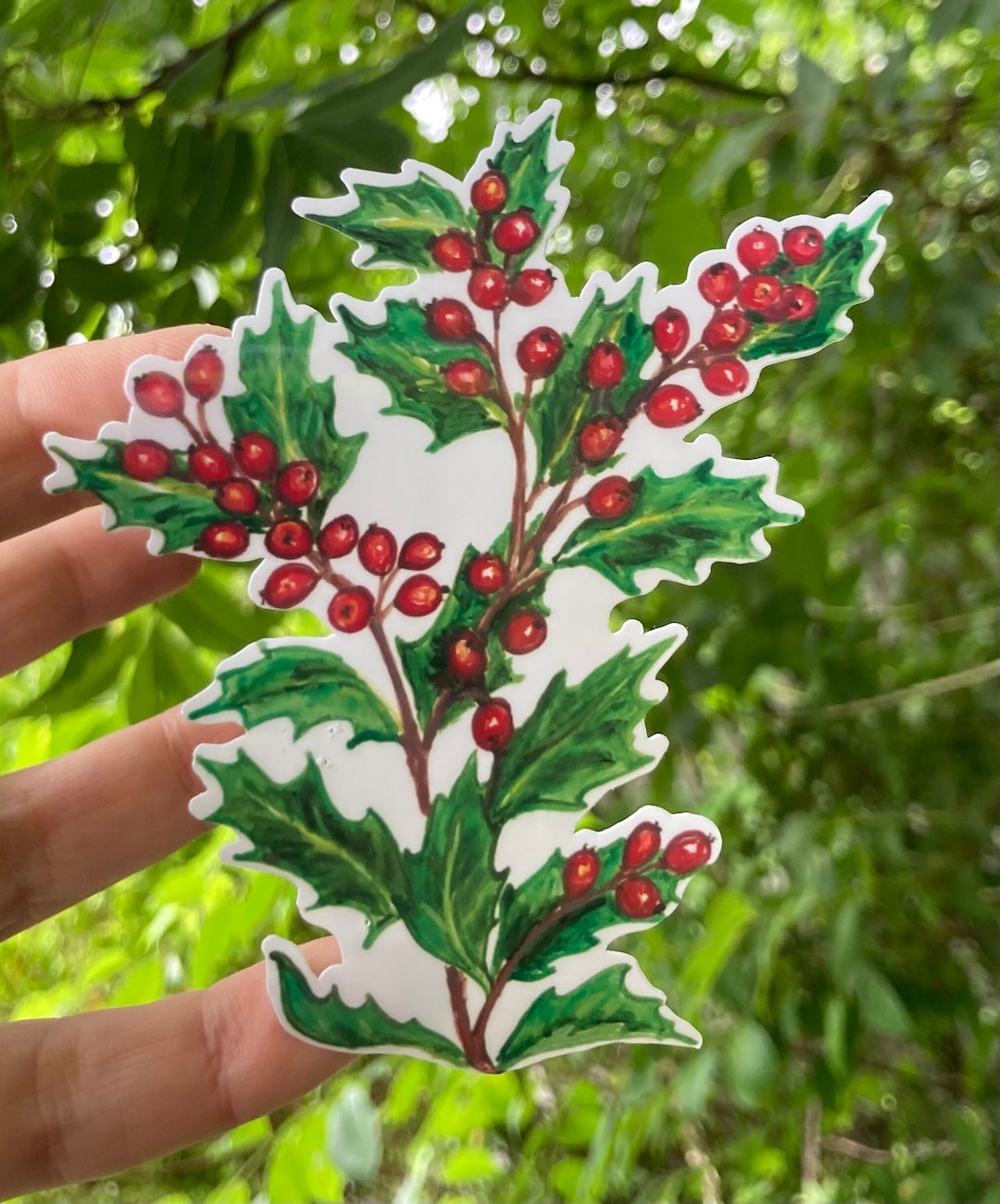 Holly Sticker, Water Resistant, Vinyl Sticker, December Birth Flower ...