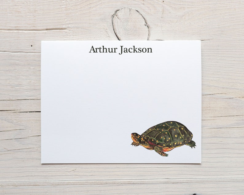 Personalized Turtle Stationery, Turtle Notecards, Box Turtle, Painted ...