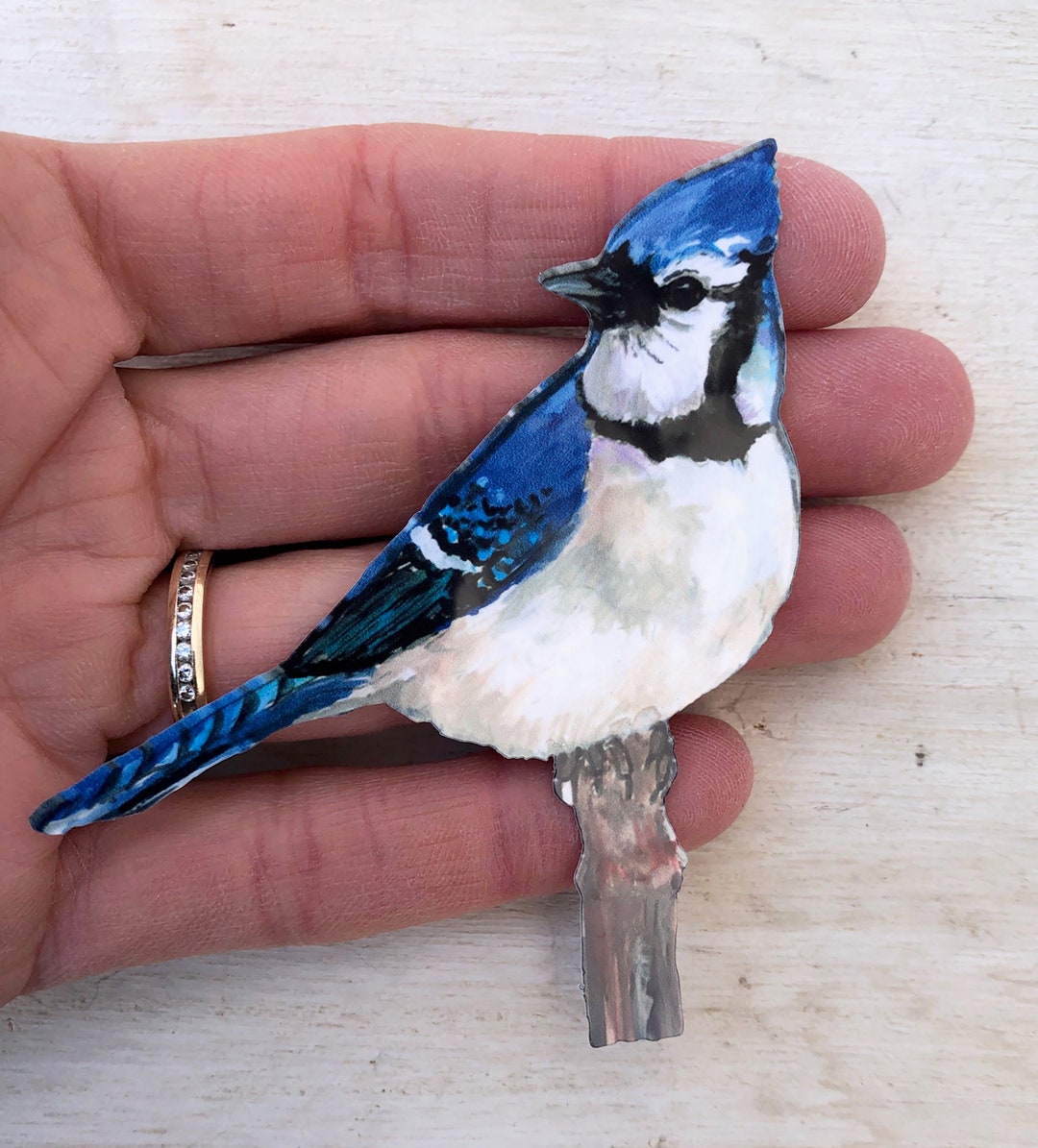 Blue Jay Sticker, Bird Sticker, Water Resistant, Nature Gift, Vinyl ...