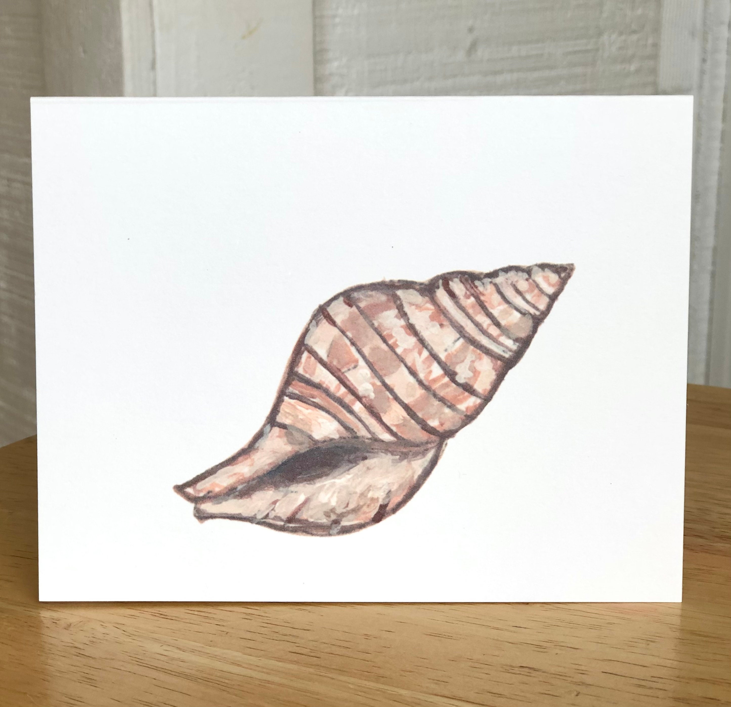 Beach notecards seashell notecards seashell stationery with | Etsy