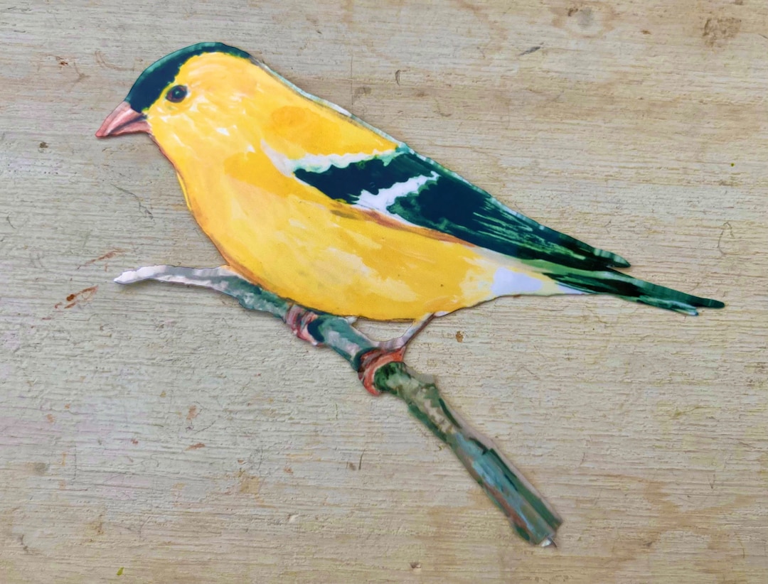 Goldfinch Sticker, Water Resistant, Vinyl Decal, Glossy, Laptop ...