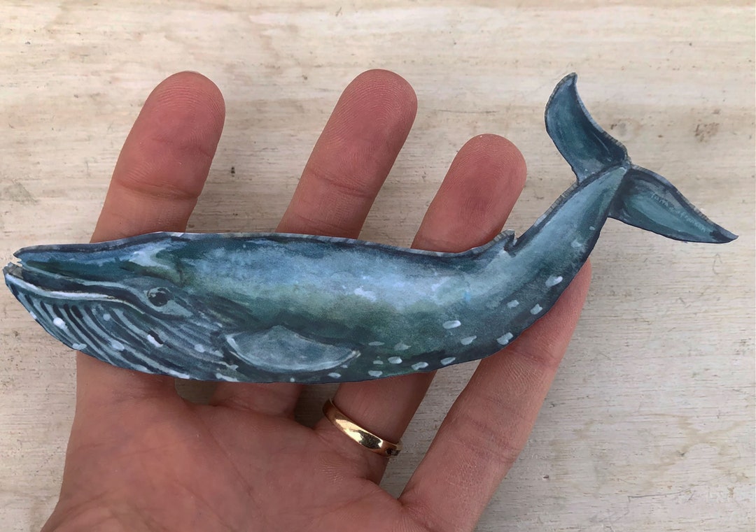 Whale Sticker, Water Resistant, Blue Whale, Ocean Decal, Nature Gift ...