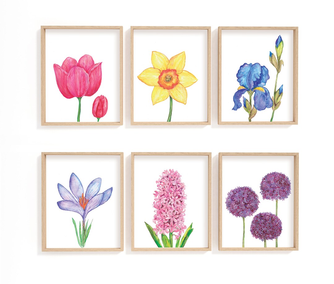 Flower Print Set of 6, Unframed Bulb Flower Art Prints, Tulip, Hyacinth ...
