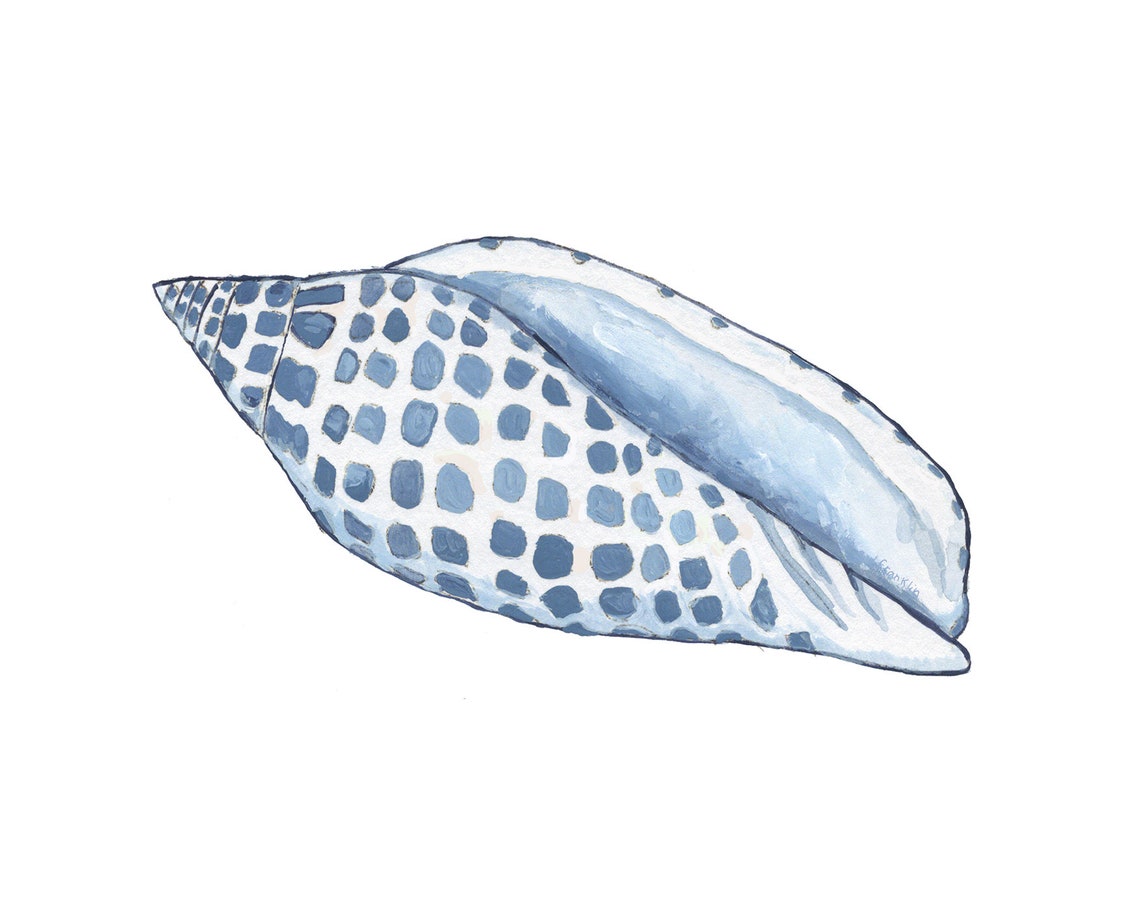 Junonia Shell Print Blue Seashell Print Sanibel Beach - Etsy