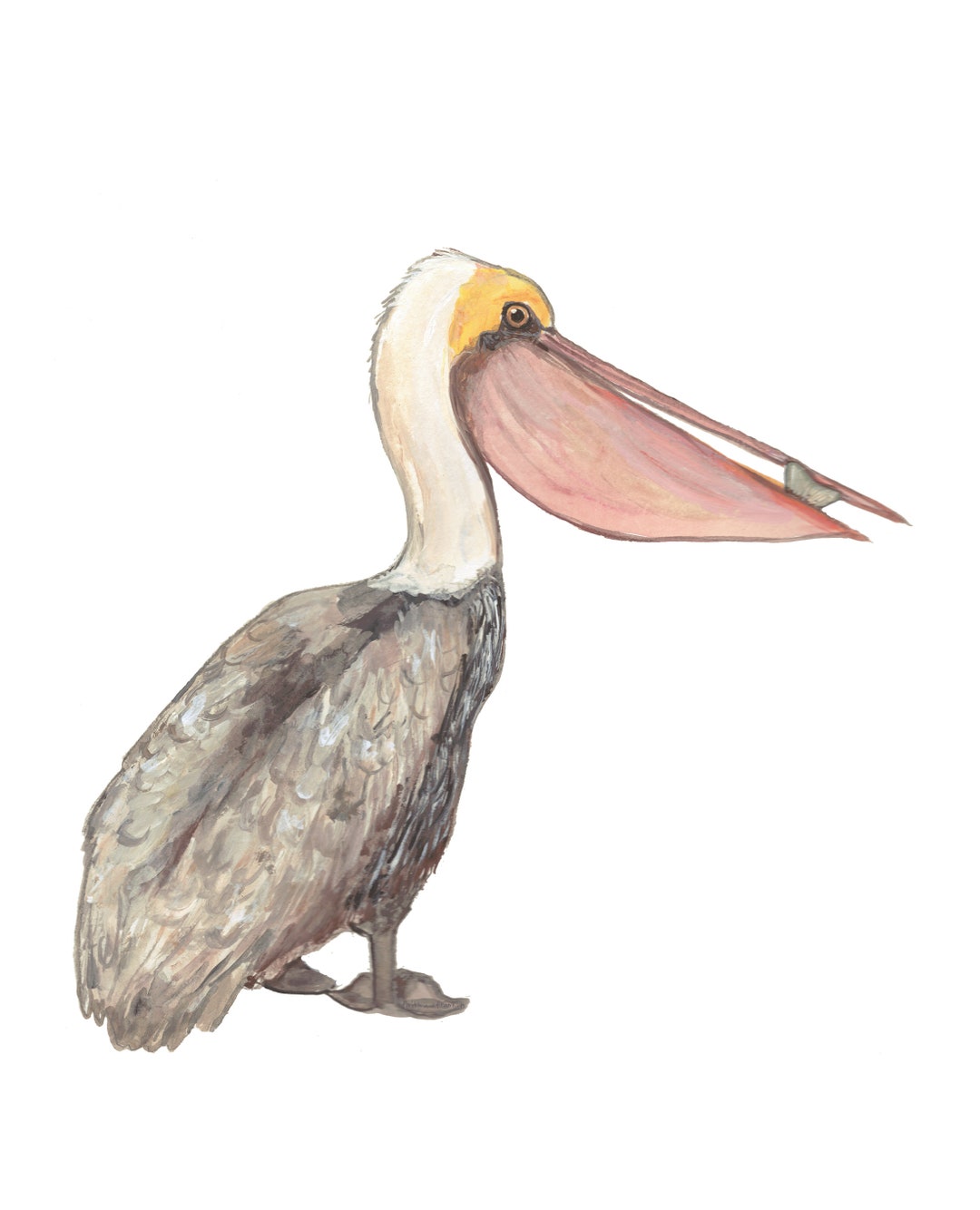 Pelican Art, Pelican Print, Pelican Painting, Coastal Wall Decor, Beach ...