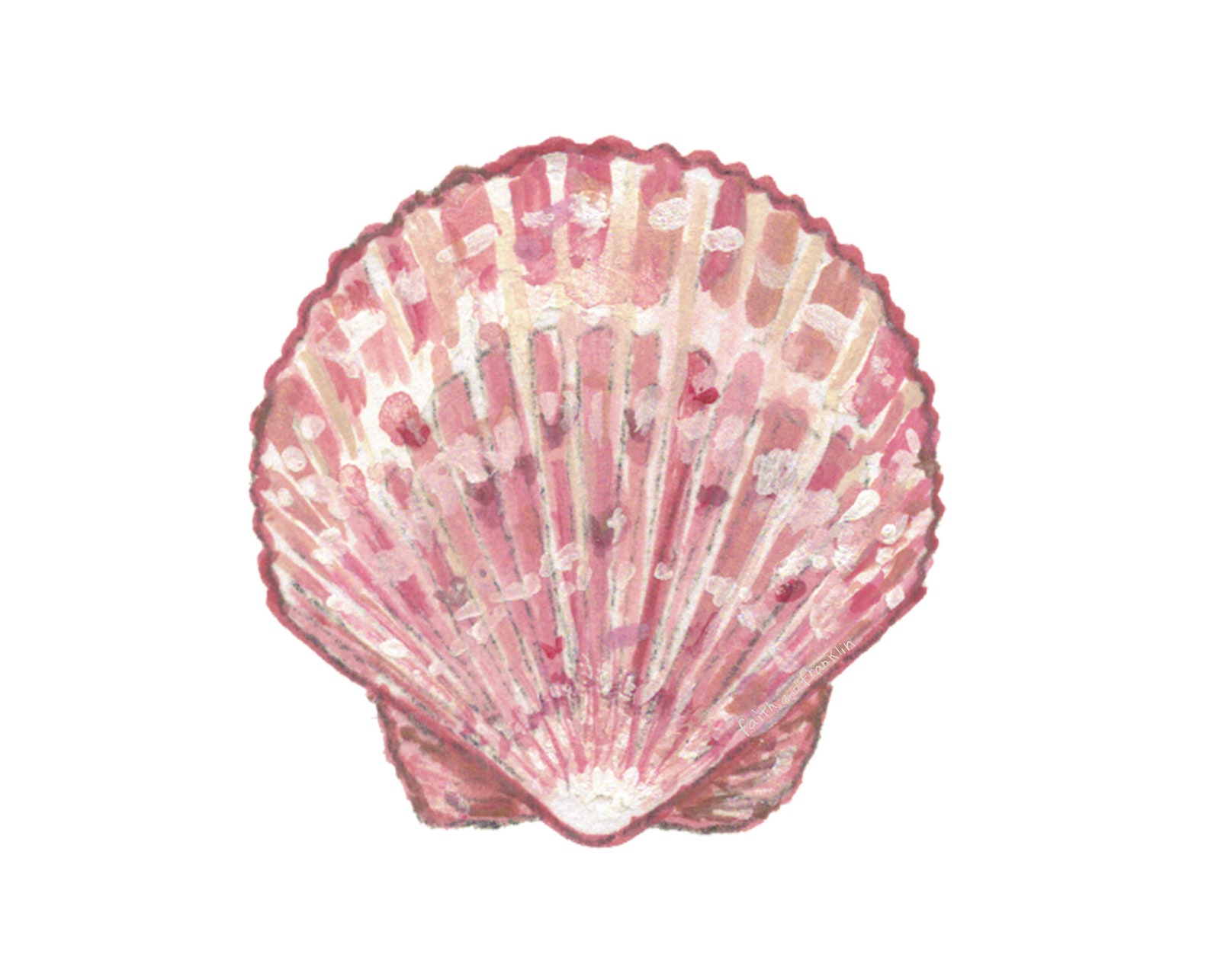 Scallop Shell Print Scallop Shell Painting Pink Seashell - Etsy