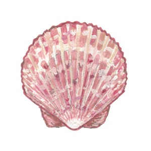 Scallop Shell Print, Scallop Shell Painting, Pink Seashell Art ...