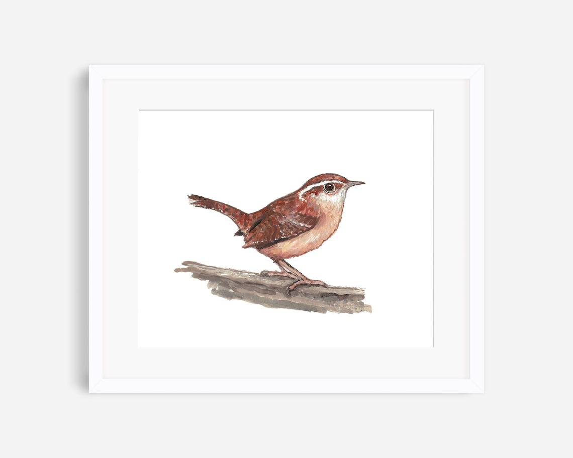 Wren Print, Carolina Wren, Bird Prints, Bird Art Print, Watercolor Bird ...