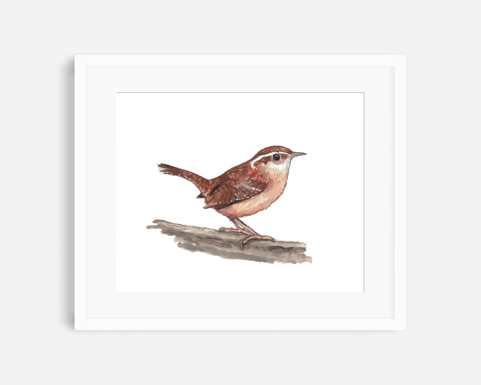 Wren print Carolina wren bird prints bird art print | Etsy