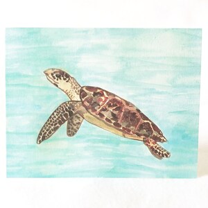Sea Turtle Notecards, Eight Cards With Envelopes, Stationery Pack, 5.5 ...