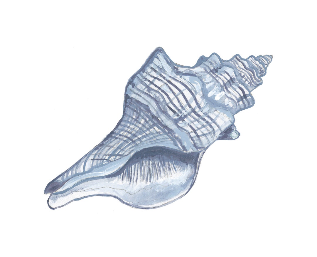 Conch Shell Print, Blue Conch, Seashell Print, Ocean Wall Art, Beach ...
