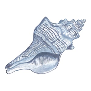 Conch Shell Print, Blue Conch, Seashell Print, Ocean Wall Art, Beach ...
