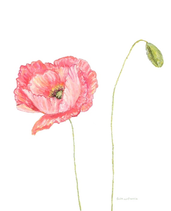 Pink Poppy Flower Art