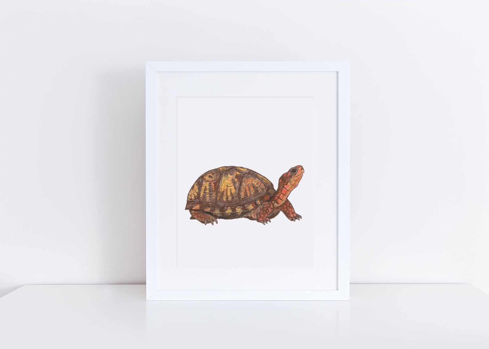 Box Turtle Print, Box Turtle Art, Box Turtle Painting, Nature Wall Art ...