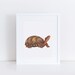 Box Turtle Print, Box Turtle Art, Box Turtle Painting, Nature Wall Art ...