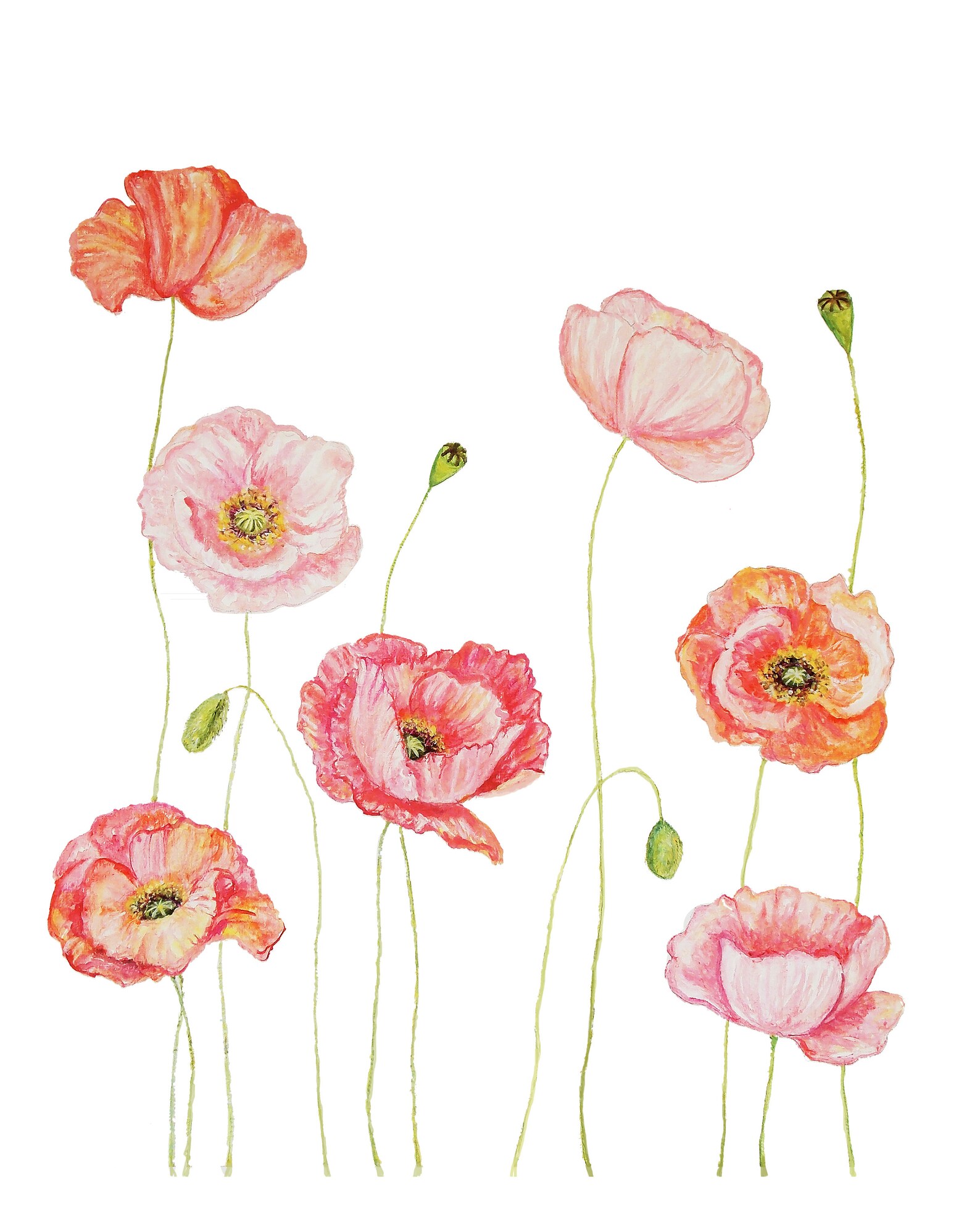 Poppies Print Poppies Painting Poppies Wall Art Poppies | Etsy