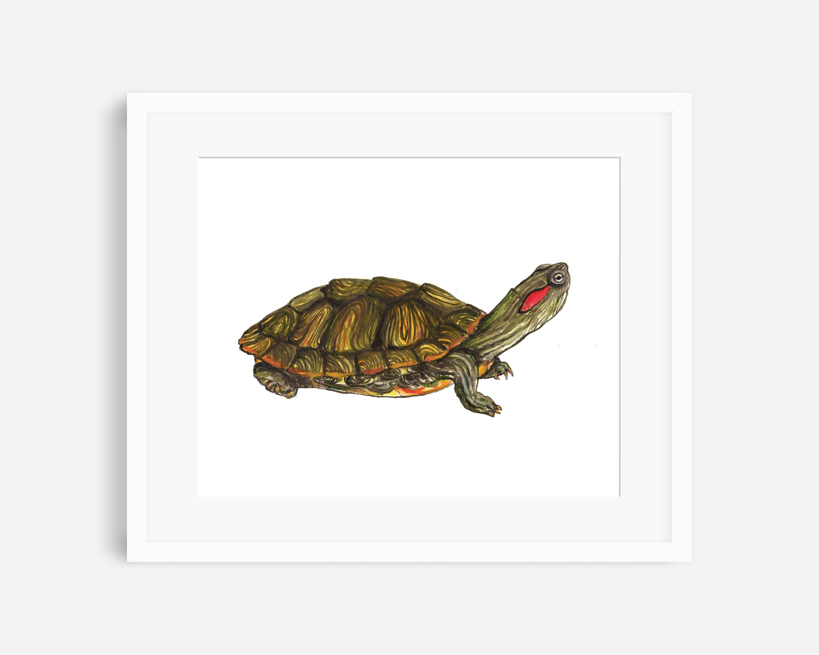 Red Eared Slider Turtle Print Turtle Art Turtle Painting | Etsy