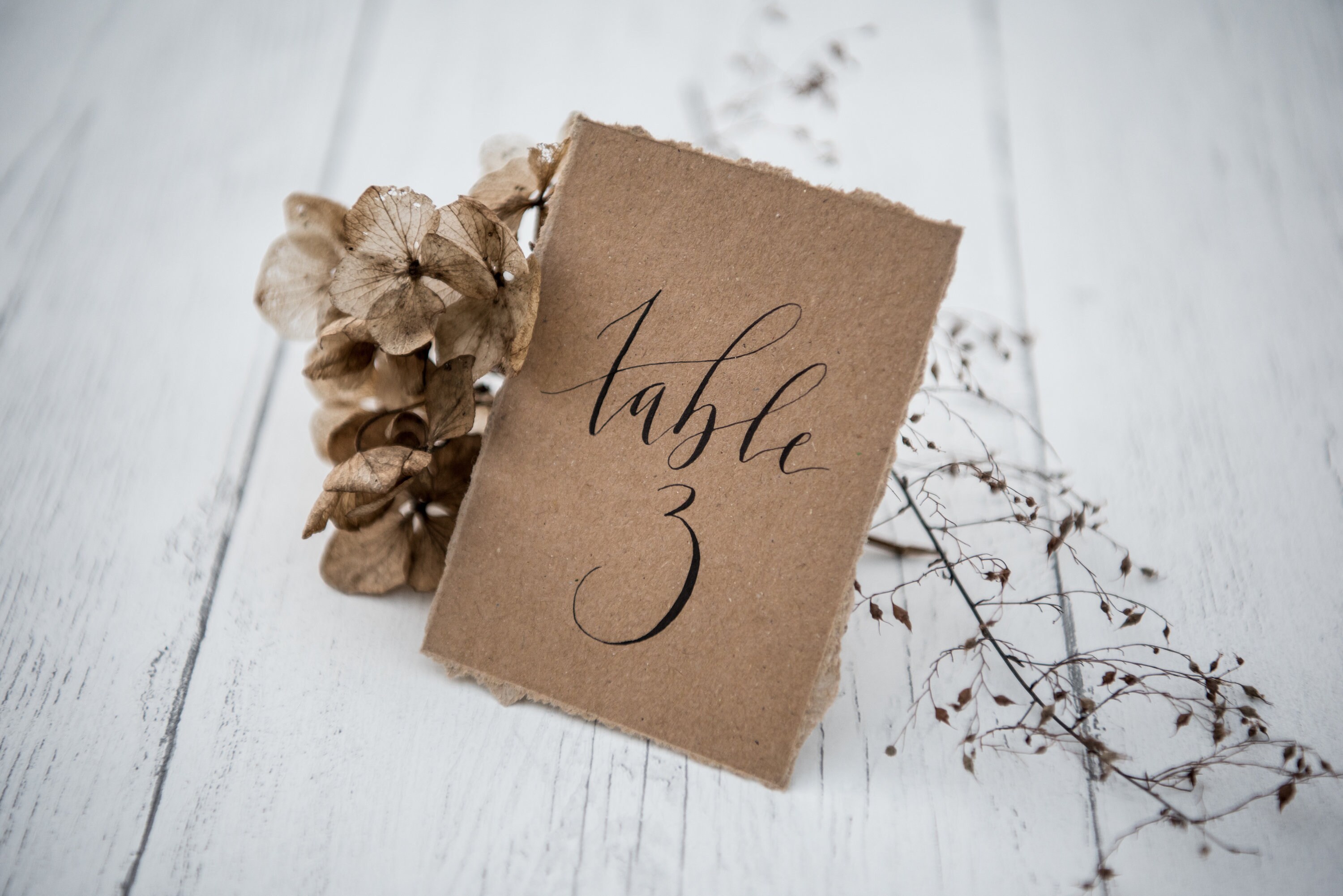 Table Names/numbers EARTH Range Hand Lettered Calligraphy | Etsy