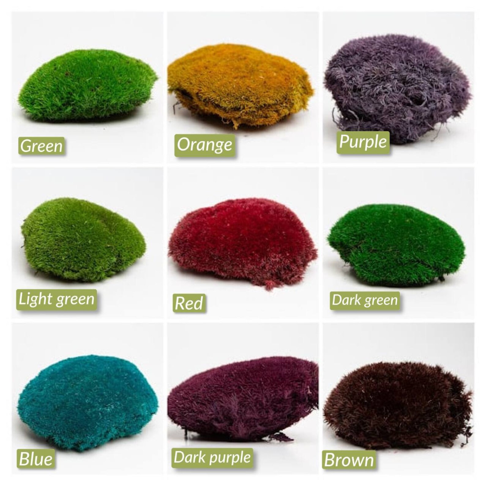 Yellow Preserved Moss Ball, Reindeer Moss Preserved, Red Colored Moss ...