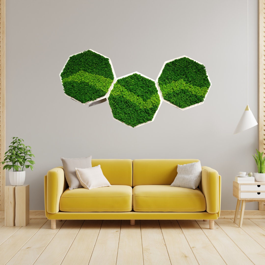 Moss Octagons Wall Panels Made With Preserved Moss, Framed Moss Wall ...