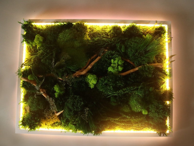 Moss Wall Decor With Lighting and Frame, Preserved Moss Wall Art ...