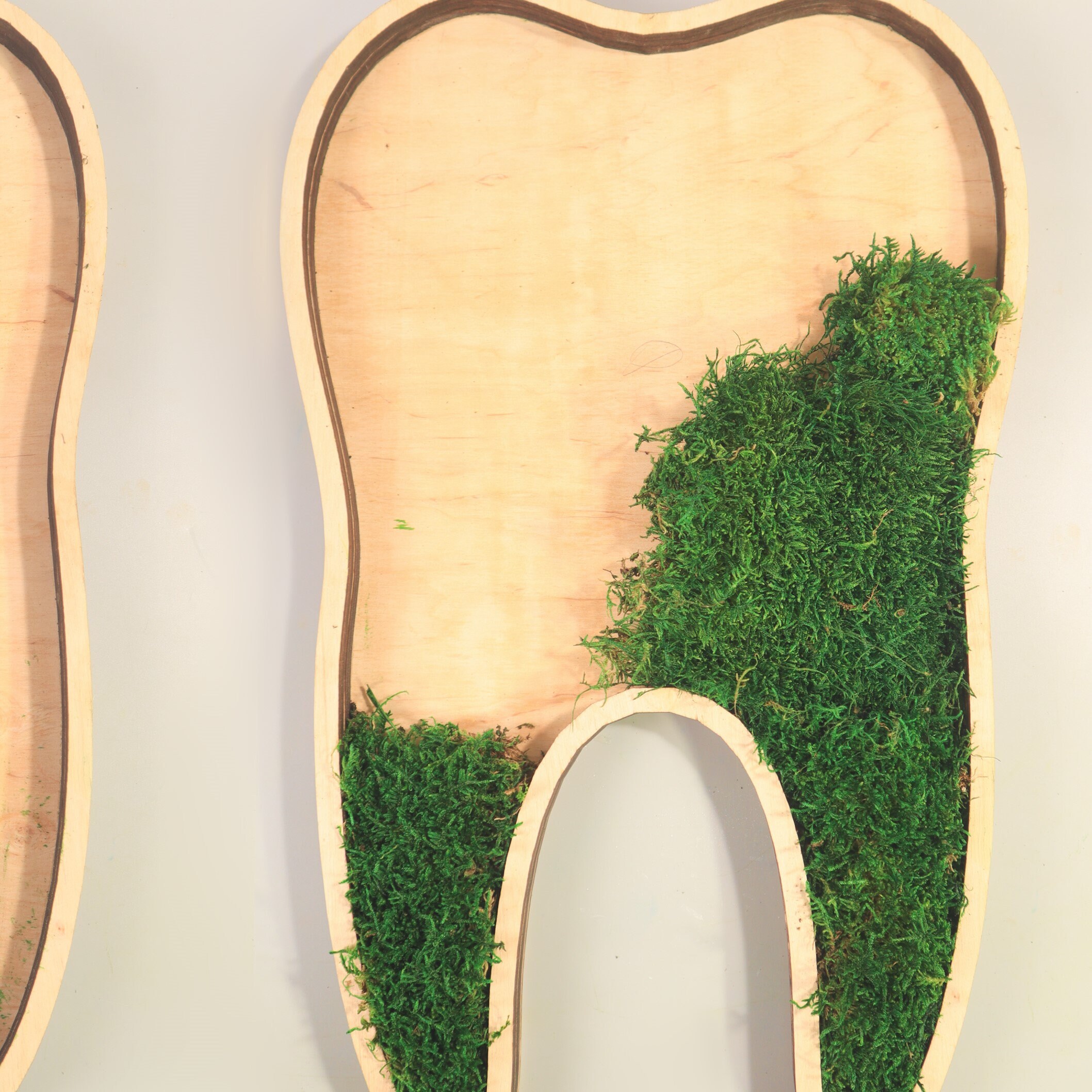 Dentist Office Decor, Moss Tooth, Dental Wall Art, Dental Wall Decor ...