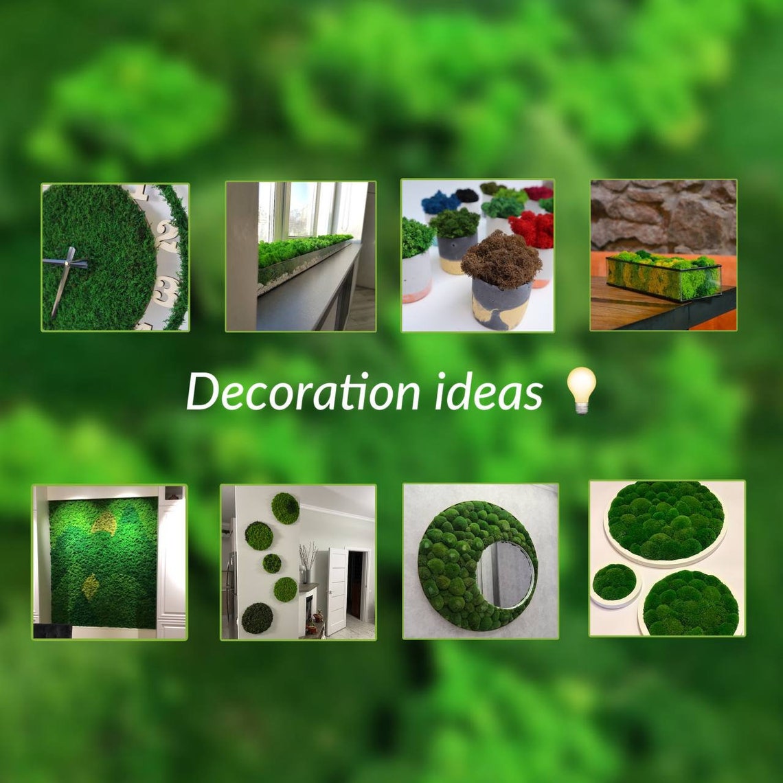 Moss Wall Decor With Lighting and Frame, Moss Wall Art, Wall Decor ...