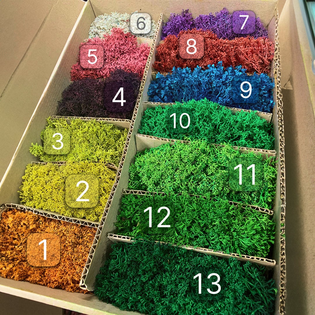 Moss Wall Decor With Lighting and Frame, Moss Wall Art, Wall Decor ...