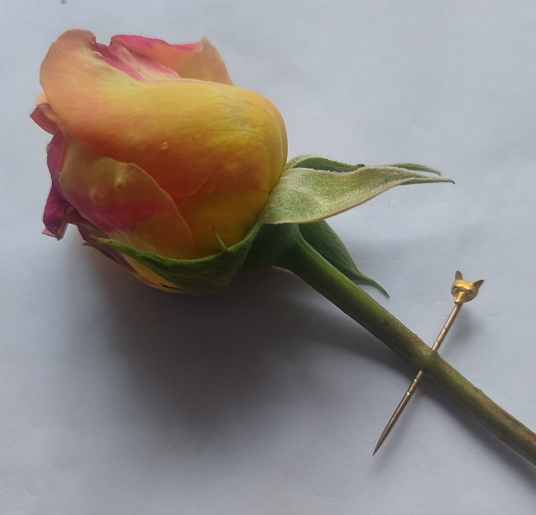 A Boutonniere Pin or Buttonhole Pin of Fox Hunting Interest. Fox Mask ...