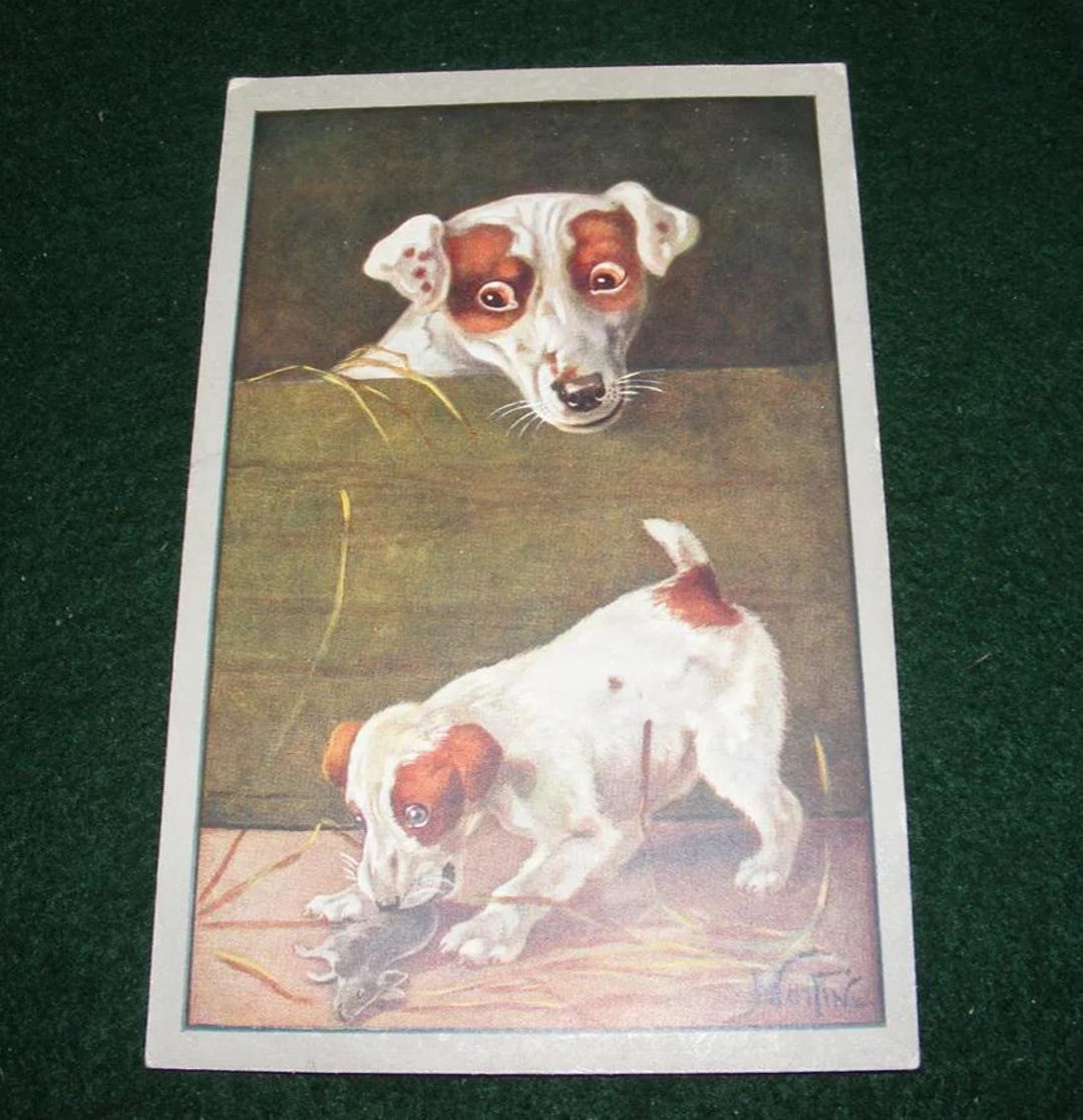 An Early 20th Century Italian Postcard of Interest to Jack Russell ...