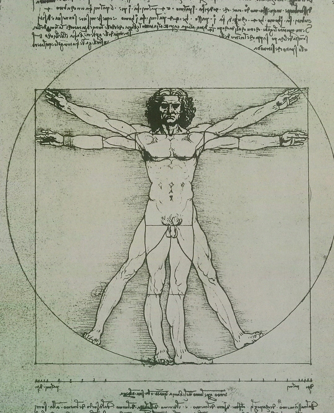 Michelangelo Anatomical Drawing/sketch the Body Print - Etsy