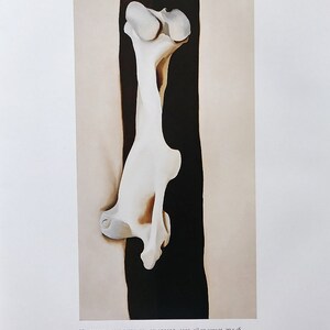 Georgia O'keeffe Fine Art Print thigh Bone With - Etsy