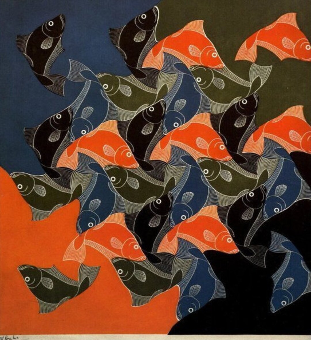 LARGE M.C. Escher Print FISH Circa 1942, Vintage Fine Art Print Perfect ...