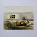 Andrew Wyeth Fine Art Print OVERFLOW wyeth's Helga, American Art ...