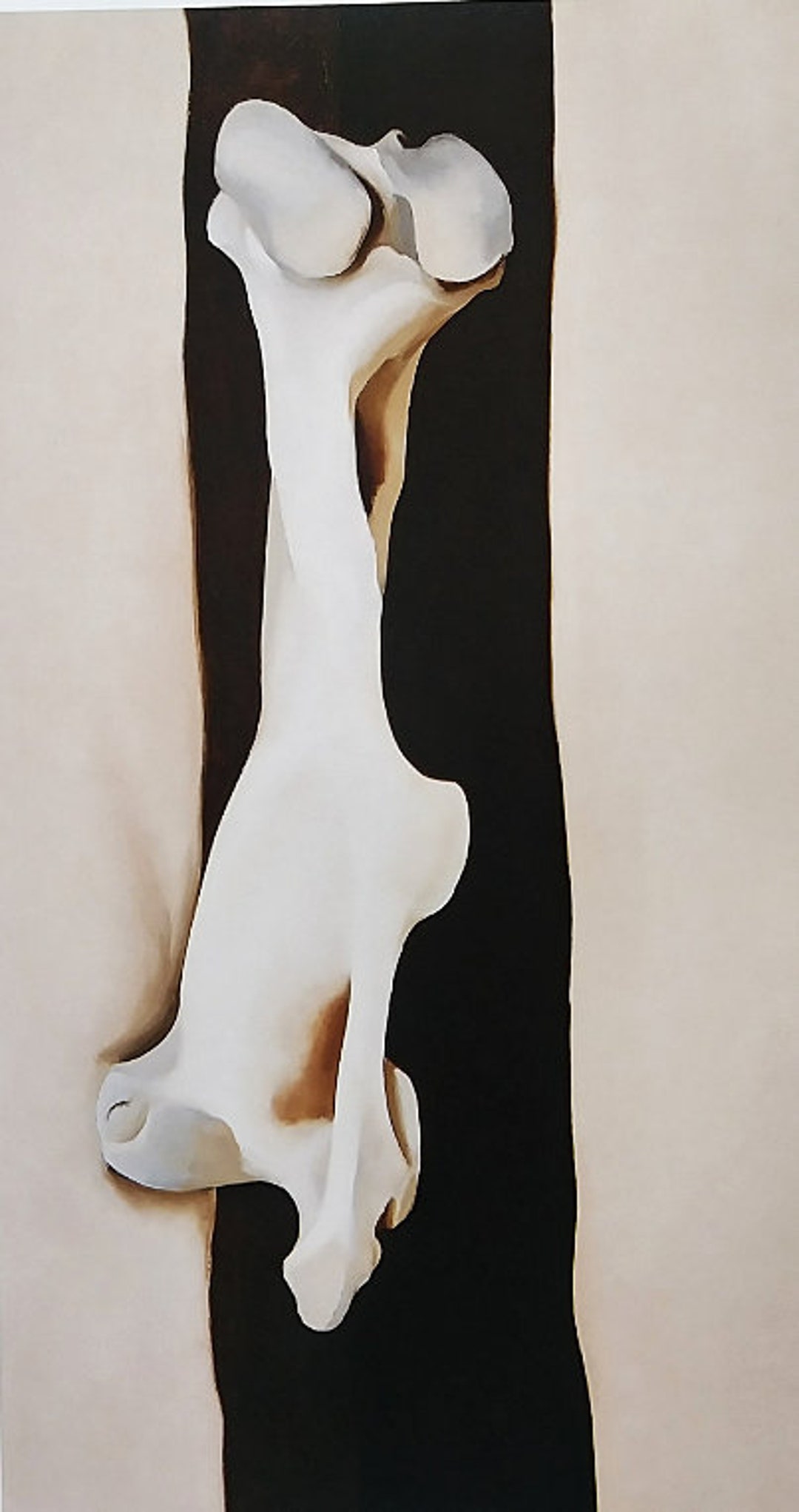 Georgia O'keeffe Fine Art Print thigh Bone With - Etsy